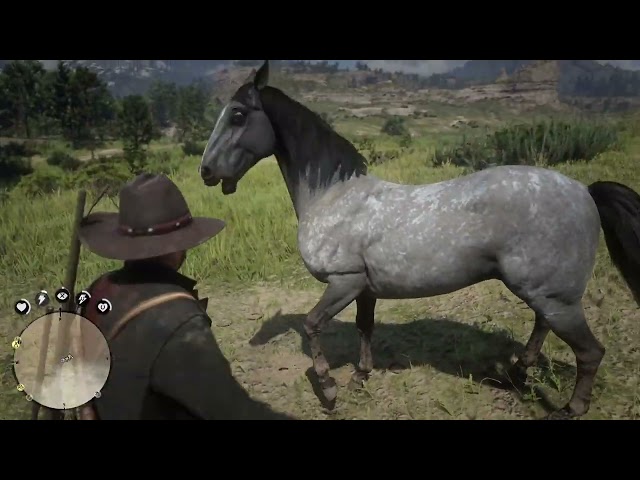How to tame wild horses - Red Dead Redemption 2