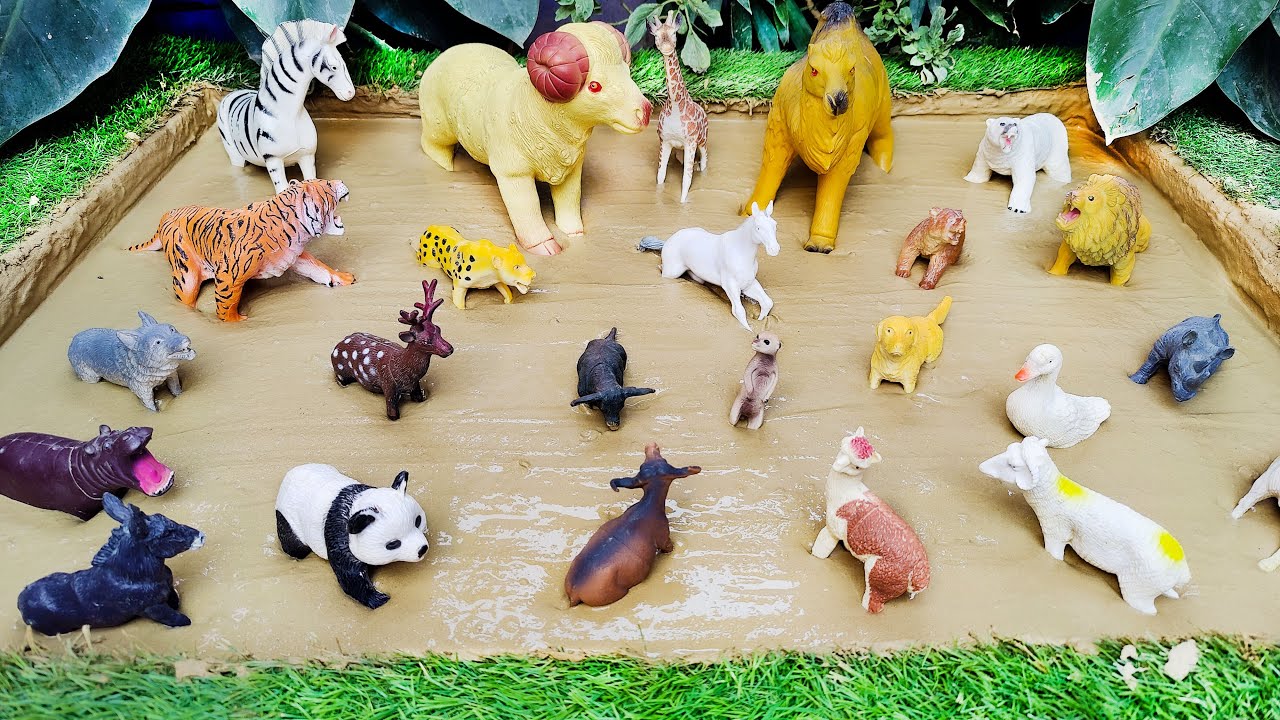 Safari Splashdown: Muddy Adventures with Farm & Zoo Animals in Sandbox ...