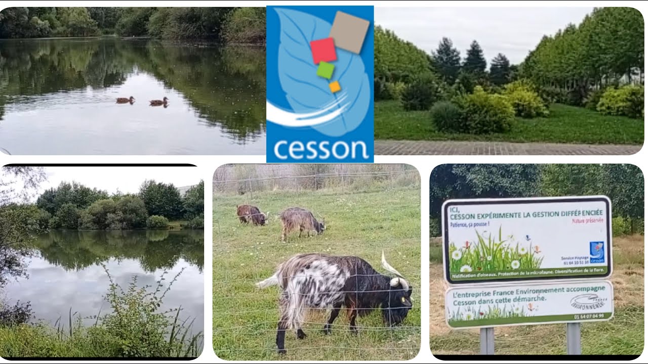 Les endroits naturels les plus beaux et les plus calmes de la ville de ...