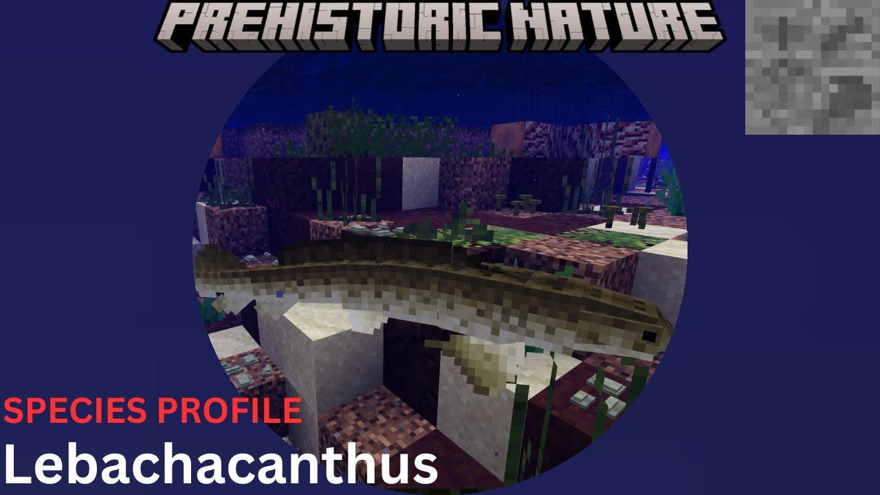 Prehistoric nature - Lebachacanthus species profile - YouTube