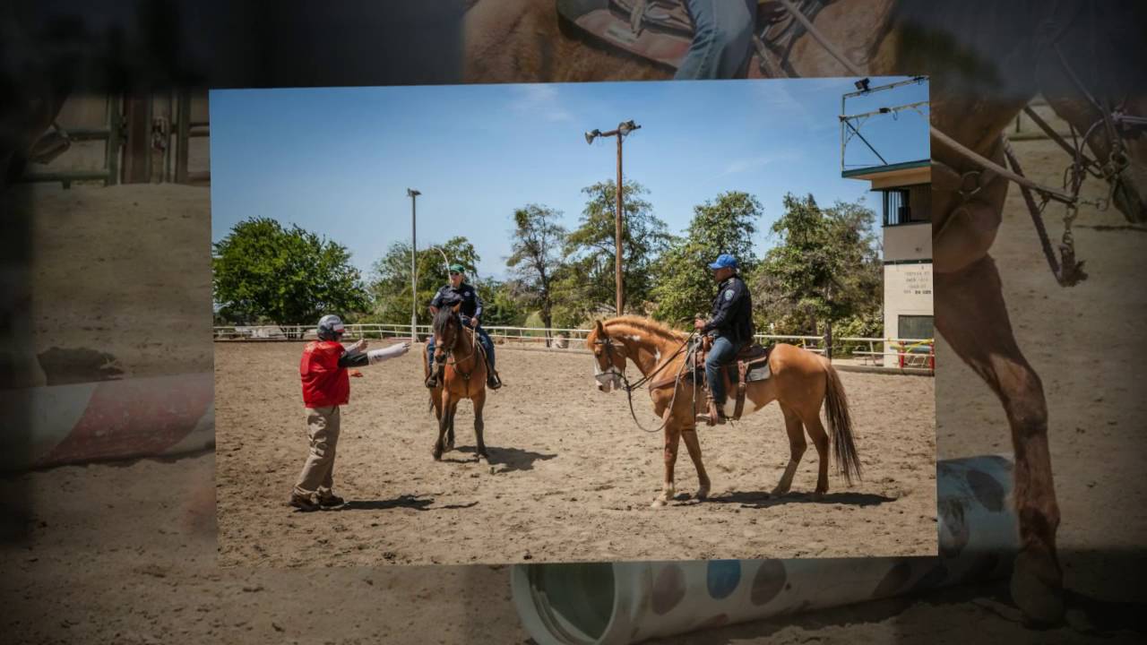 SBCSD Mounted Training - YouTube
