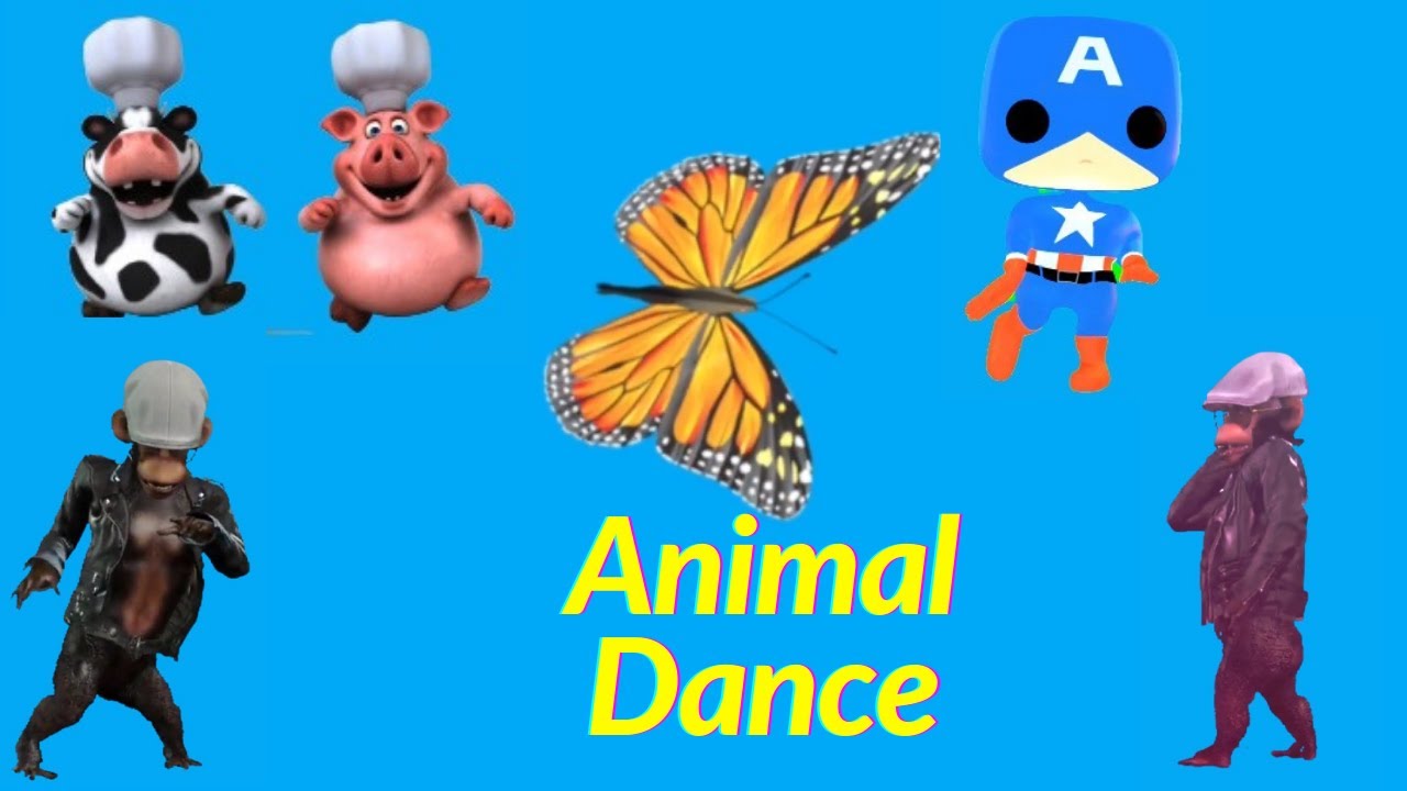 Animal dance | funny animal dance video | Monkey Funny Dance. - YouTube