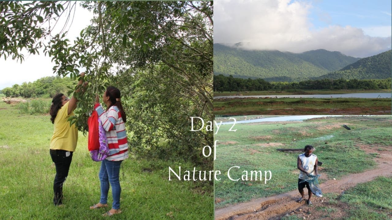 Rissia Nature Camp, Kuldiha, (Odisha) Day -2 [ Jodachua , Rissia Dam ...