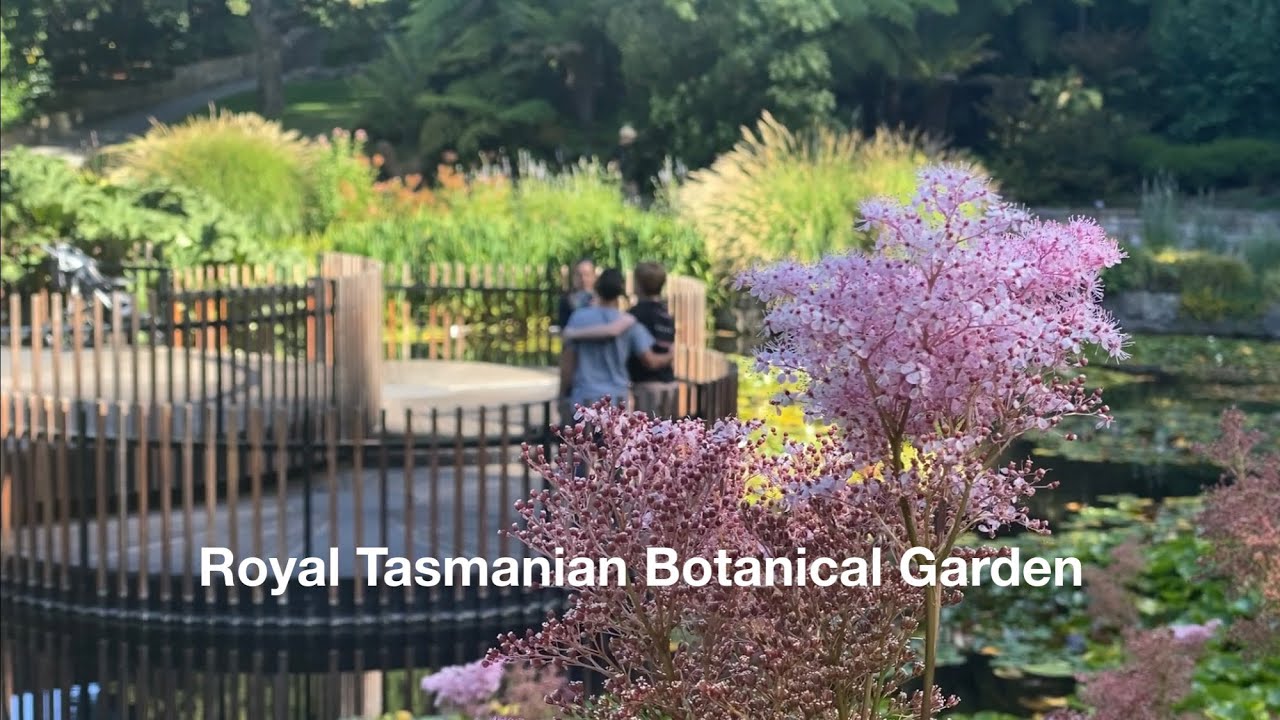 Royal Tasmanian Botanical Garden, Hobart タスマニア王立植物園、ホバート - YouTube