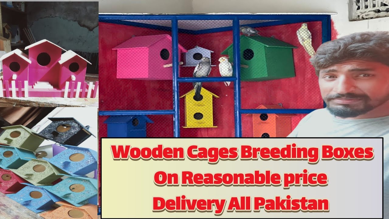 Wooden Box Cages for birds reasonable Prices#cages #pashabirdsvlogs# ...