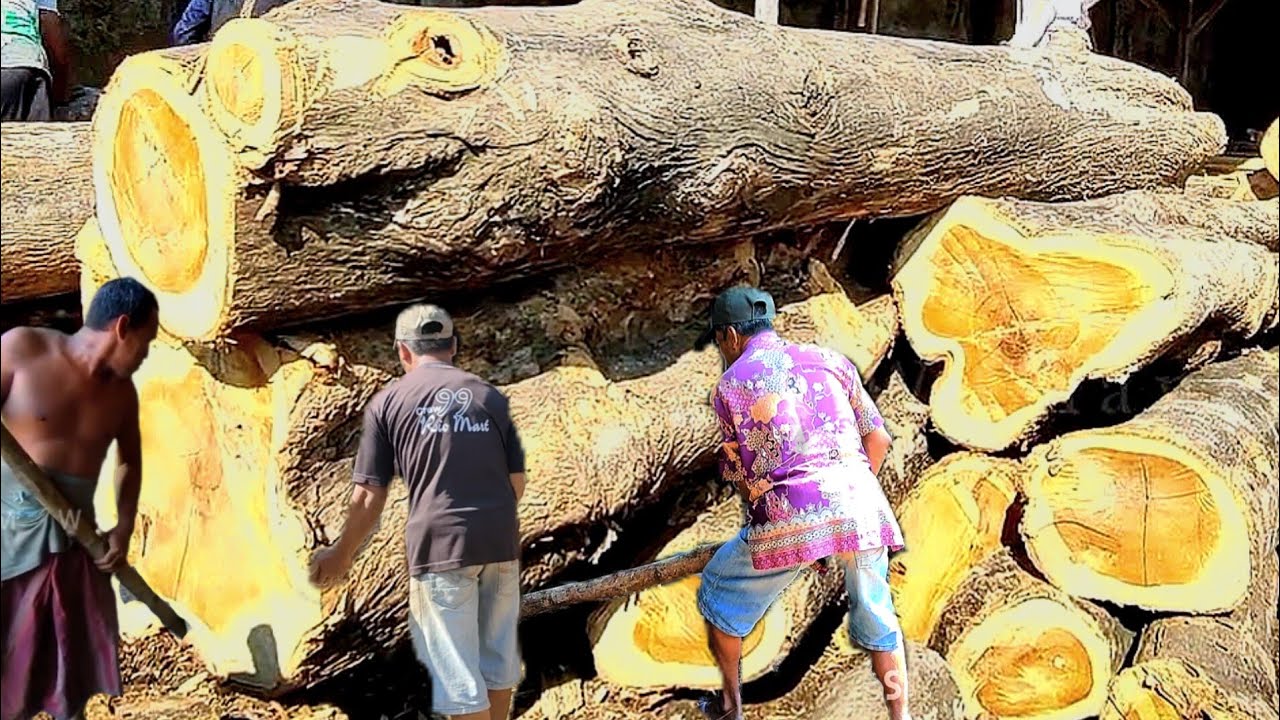Sawing and Cutting Stacks of Teak Wood in Bulk || #Sawmill - YouTube