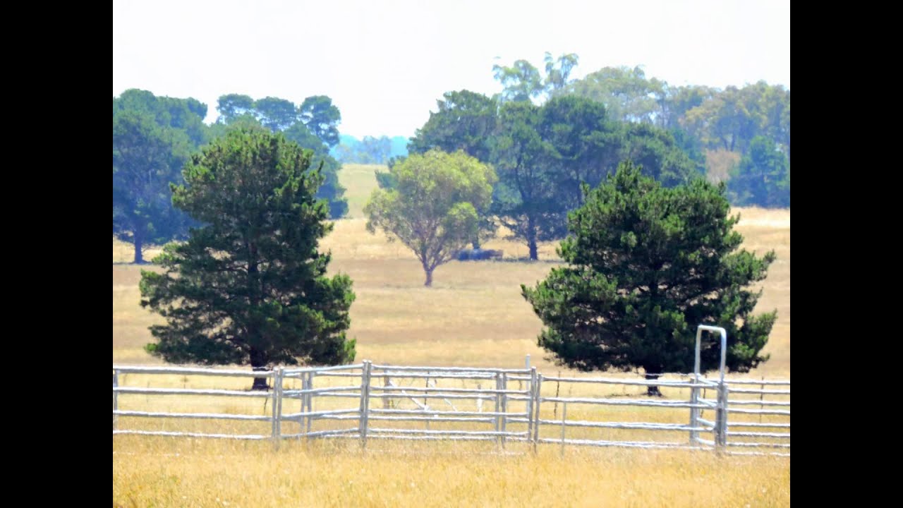 Windellama 100 acres - YouTube