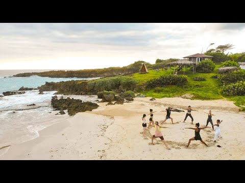 How Yoga Transforms Your Body and Mind | Yoga & Meditation Retreat Centre |  Go Natural Jamaica