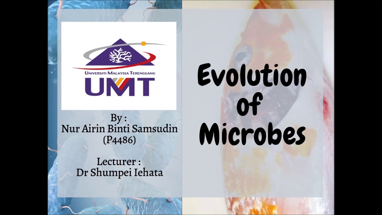 evolution of microbes - YouTube