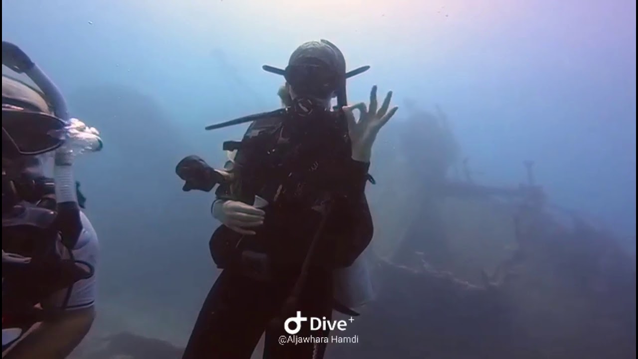 Diving in Chicken wreck - YouTube
