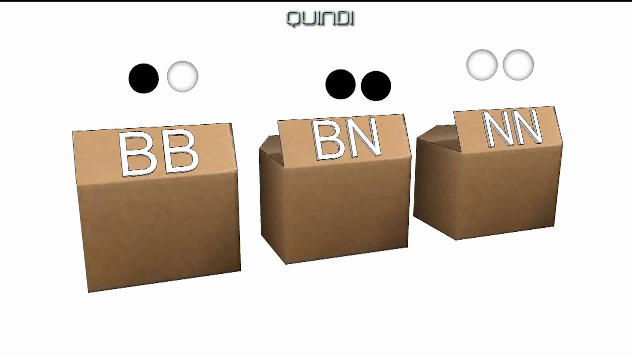 Indovinello Scatole Mischiate BBNNBB - YouTube