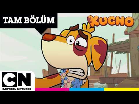 KUCHO | Korsan Korsy | TV'DEN ÖNCE YOUTUBE'DA | TAM BÖLÜM | @cartoonnetworkturkiye