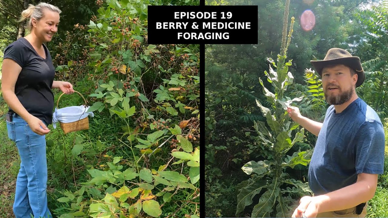 Episode 19 - Berry & Medicine Foraging - YouTube