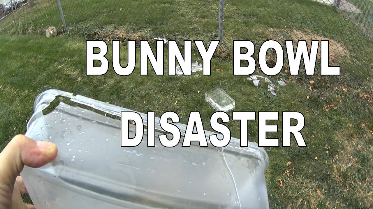 BUNNY BOWL DISASTER 🐇 😱 - YouTube