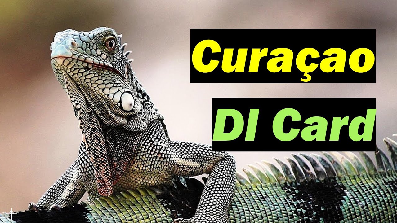 🇨🇼 How to complete the Curaçao Digital Immigration (DI) Card - YouTube