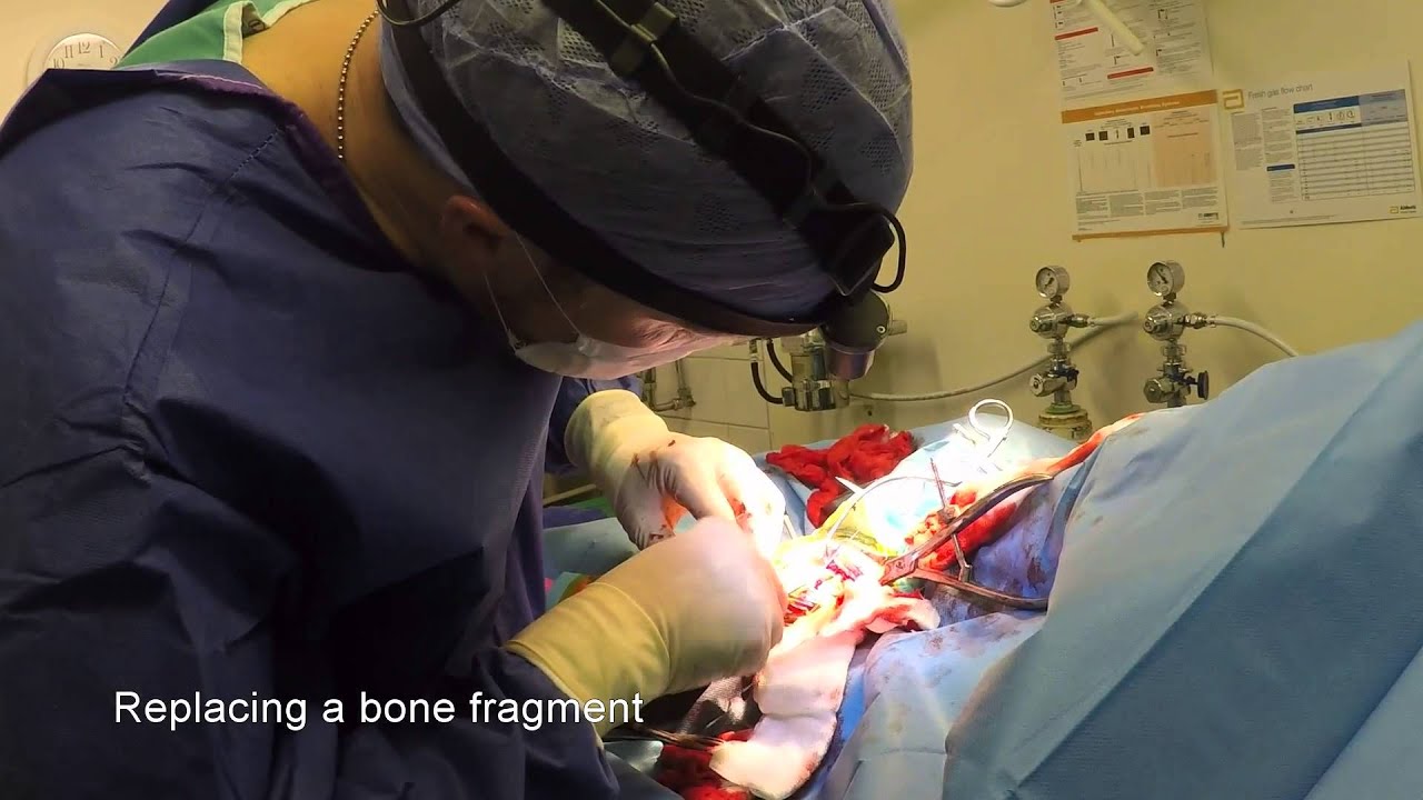 Supervet! Orthopaedic surgery on a dog at Four Crosses Vets - YouTube