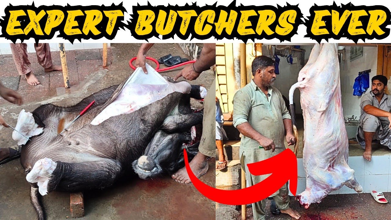 😱 Expert And Fastest Butchers Ever 🔪. How To Remove Skin Of Whole Bull ...