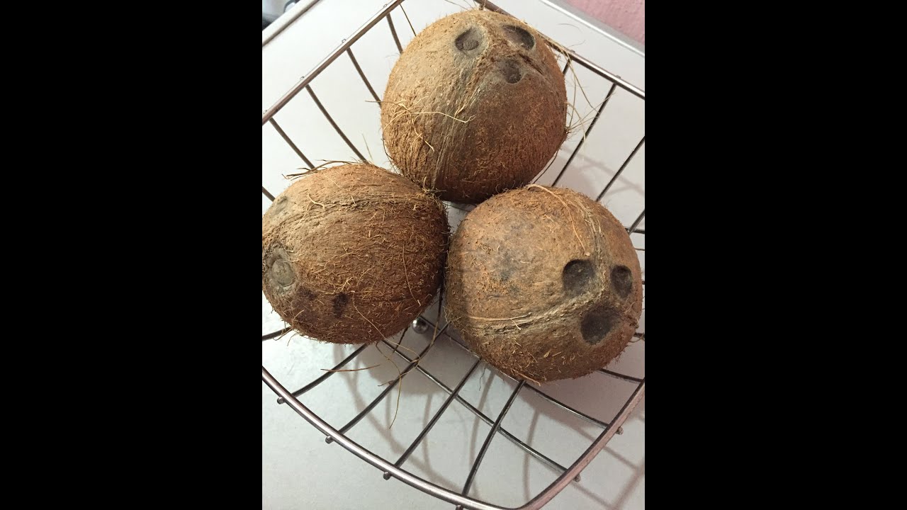 How to deshell coconut (Injury and knife free) - YouTube