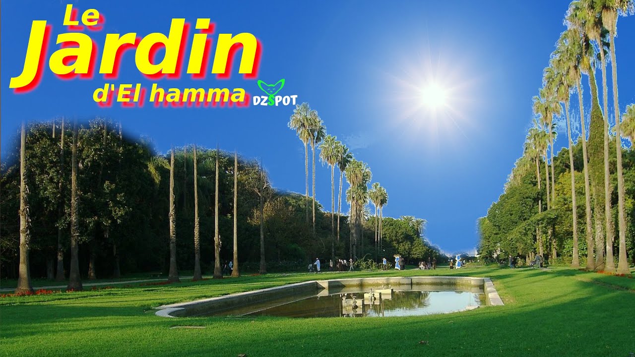 ALGER: Le Jardin d'Essai d'El Hamma - YouTube