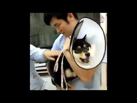 Eee Birde Bayıl İstersen Feriha!