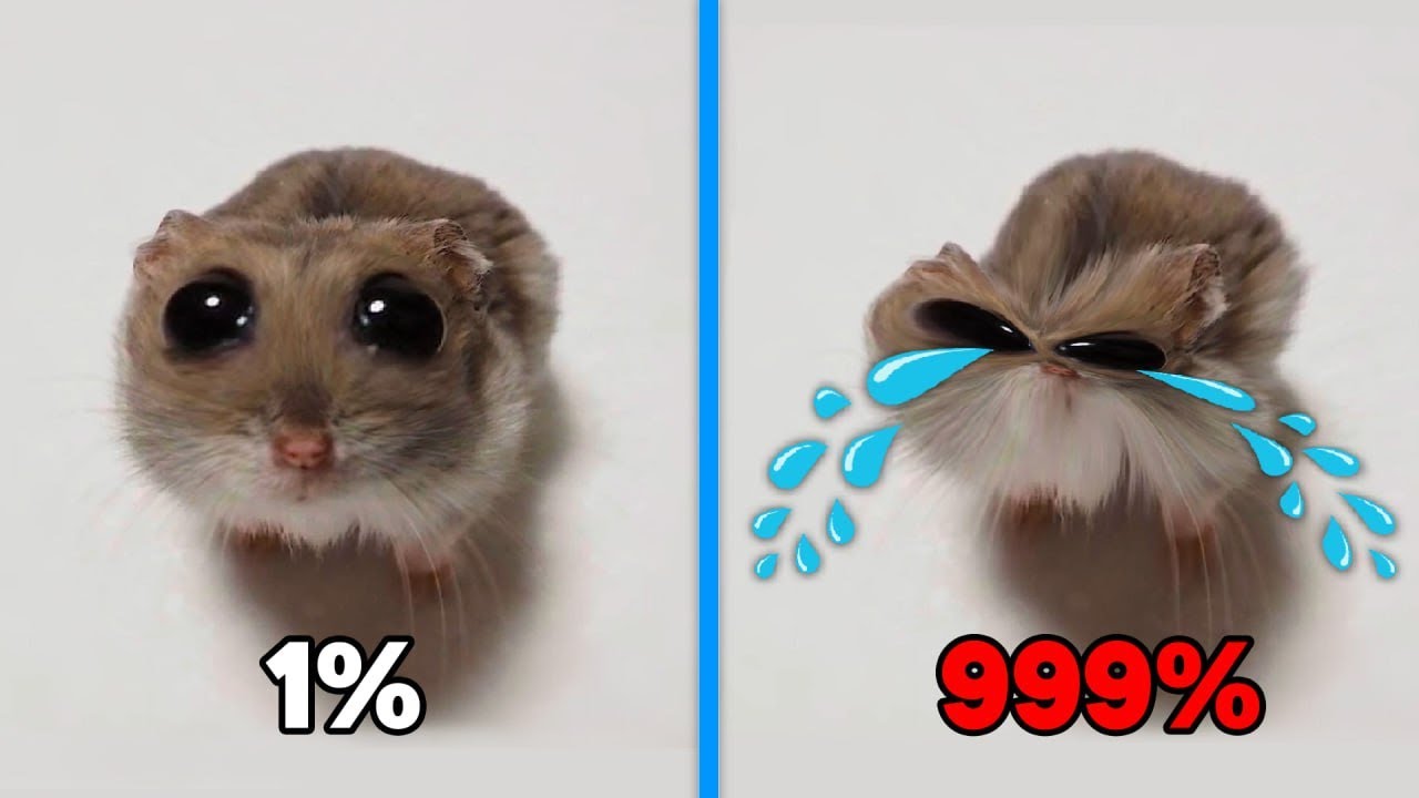 Sad Hamster Everytime with more sad - YouTube