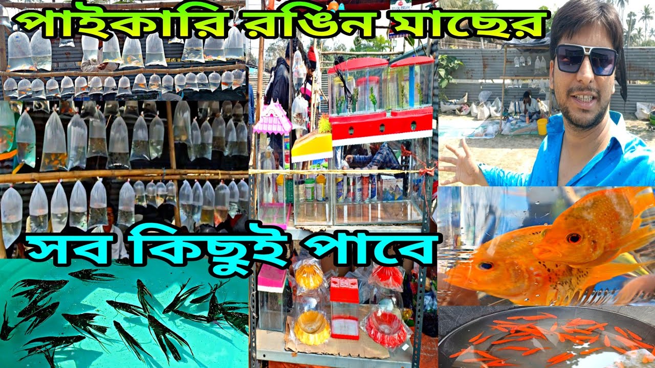 শুক্রবারের অঙ্কুরহাটির হাট | Howrah Ankurhati Pet Market | Aquarium ...