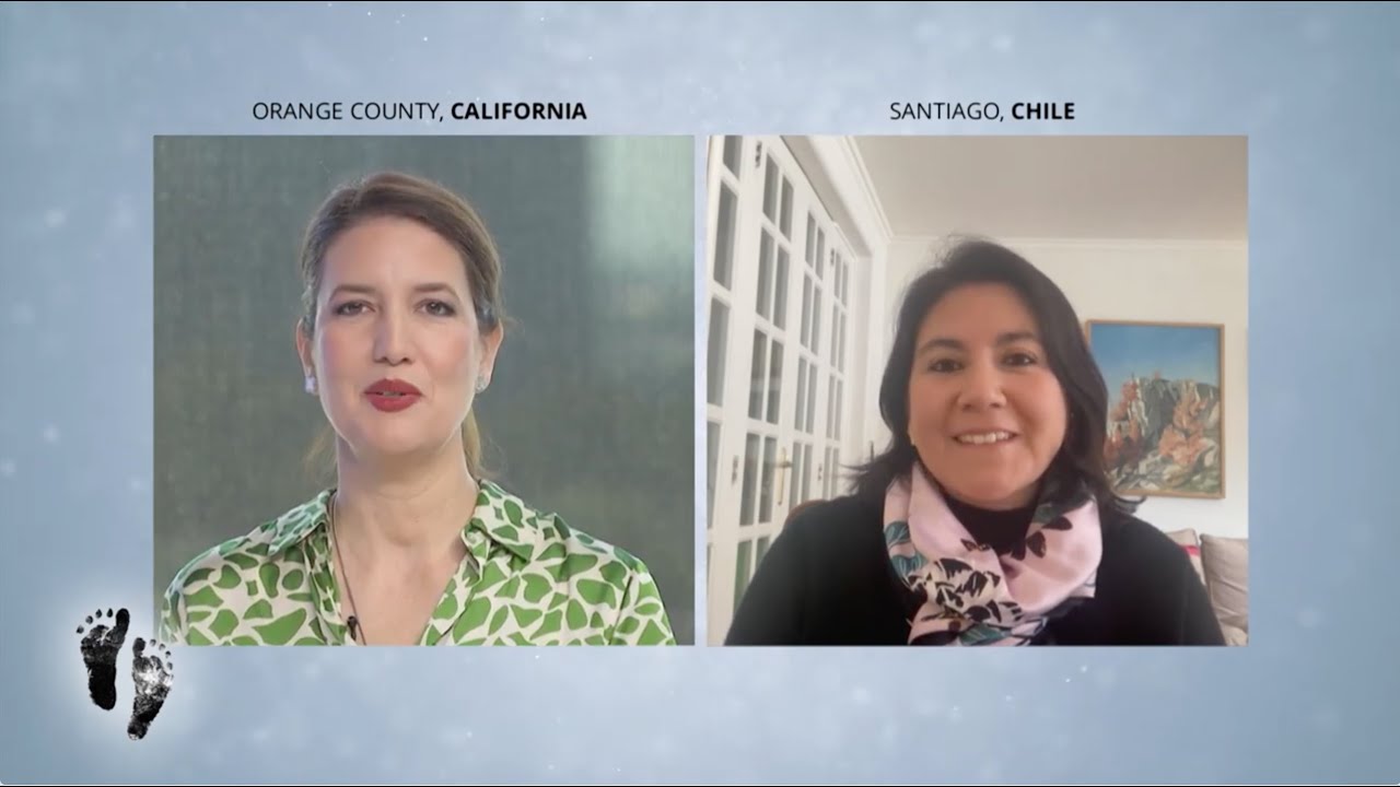 Informe Provida: VERITAS ET LIBERTAS - CHILE | 11 de Agosto de 2023 ...