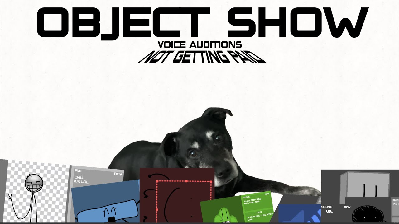 object show voice auditions - YouTube