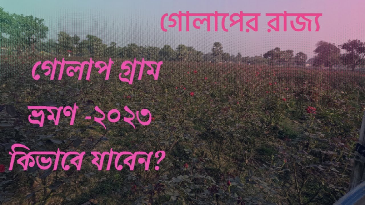 গোলাপ গ্রাম ভ্রমণ -২০২৩,Rose Village Tour -2023,Savar,birulia,golap ...