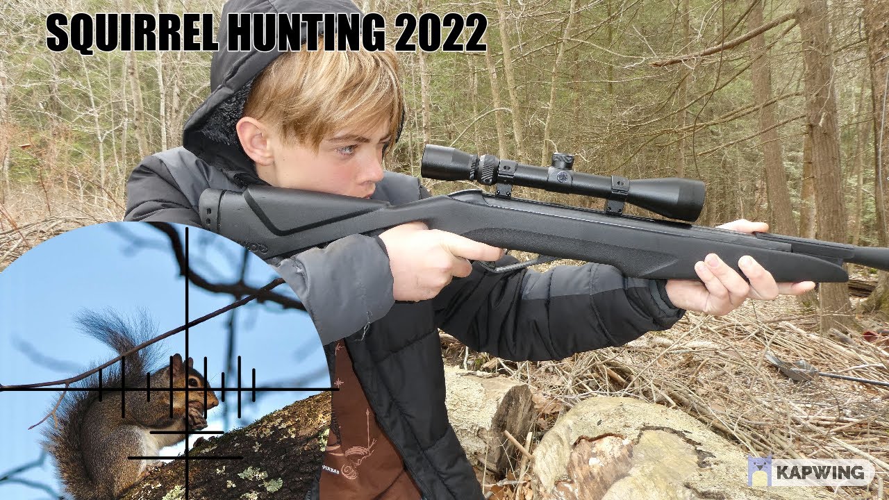 EPIC Squirrel Headshot! - squirrel hunting with an airgun - YouTube