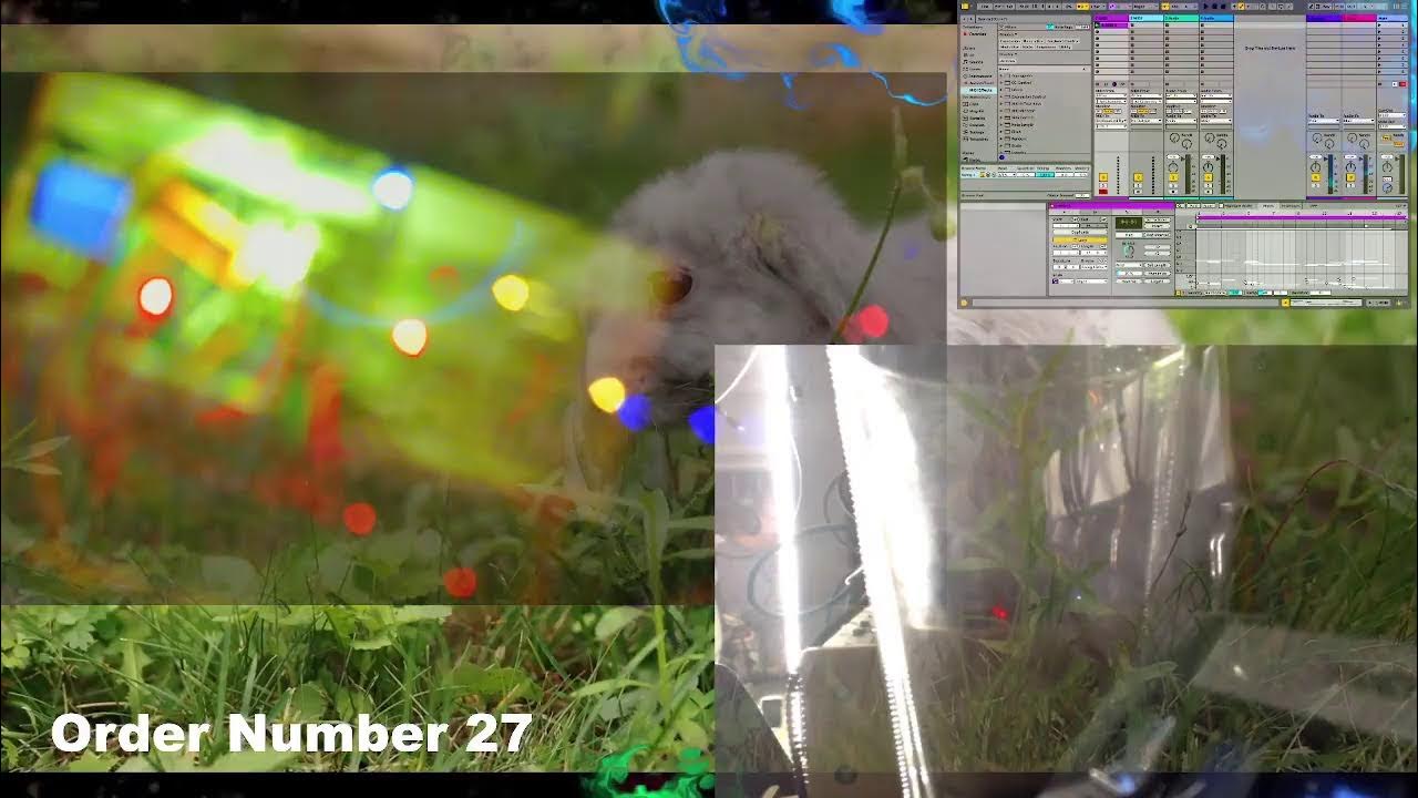 Order Number 27 - YouTube