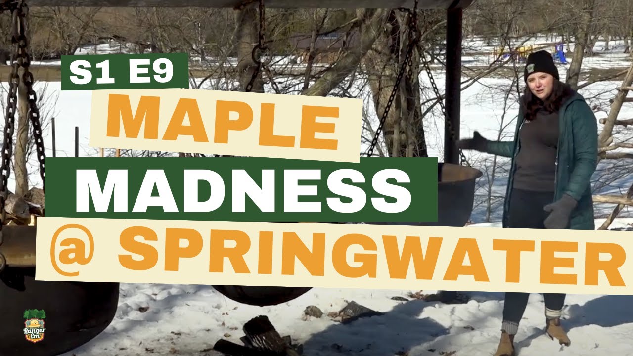 Learn with Ranger Em | S1 E9 Maple Madness - YouTube