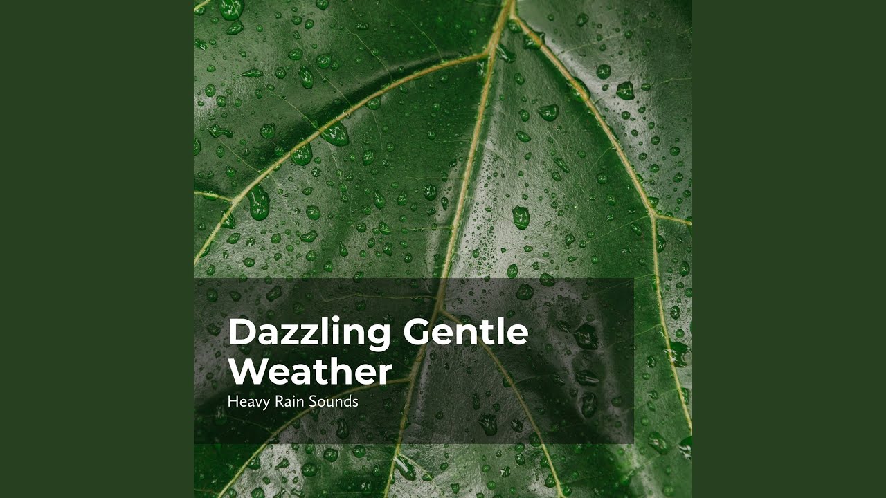Tempestuous Rainfall - YouTube Music