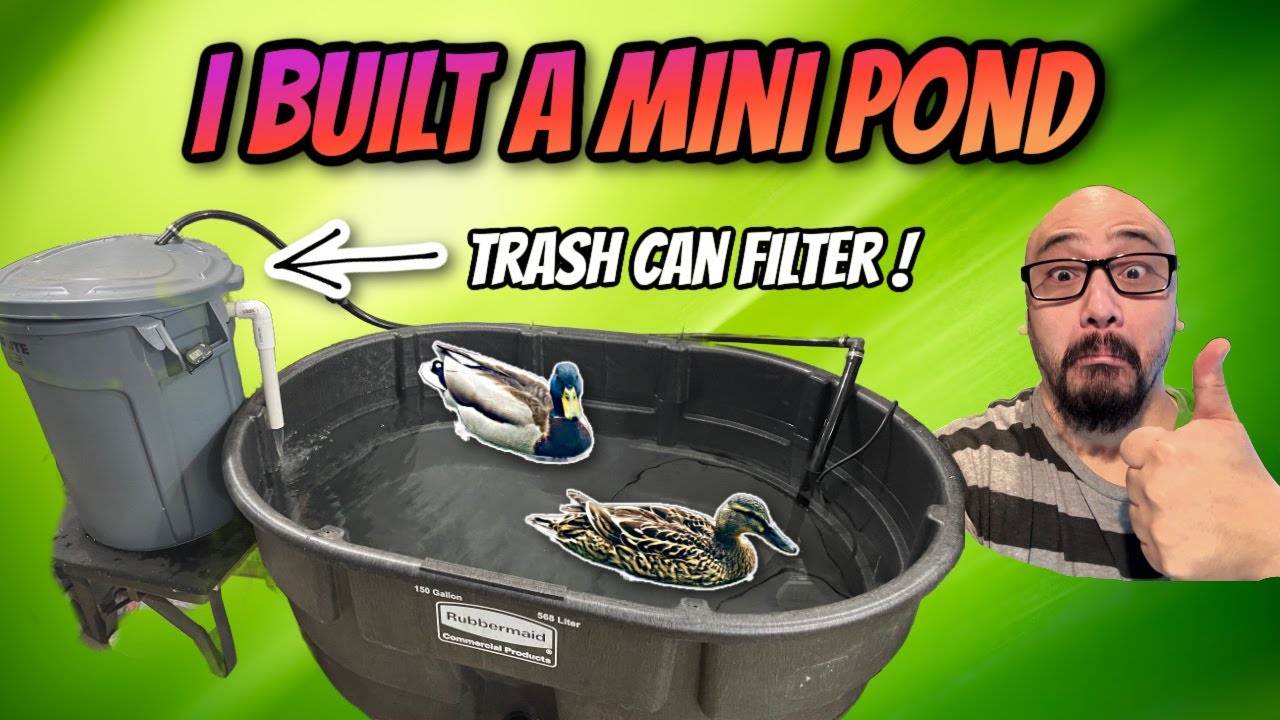 150 Gallon DIY Mini Pond with the Best Aquarium Filter made from a ...
