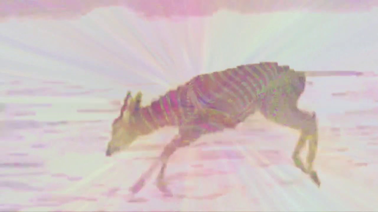 Shadows-Of-The-Mind - Deer - 2020 - YouTube Music