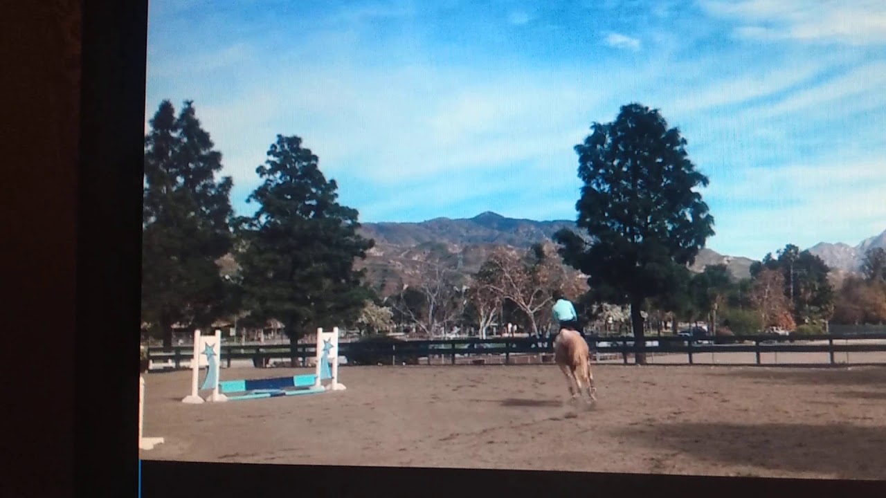 Strong position. By Kevin McGinn. - YouTube