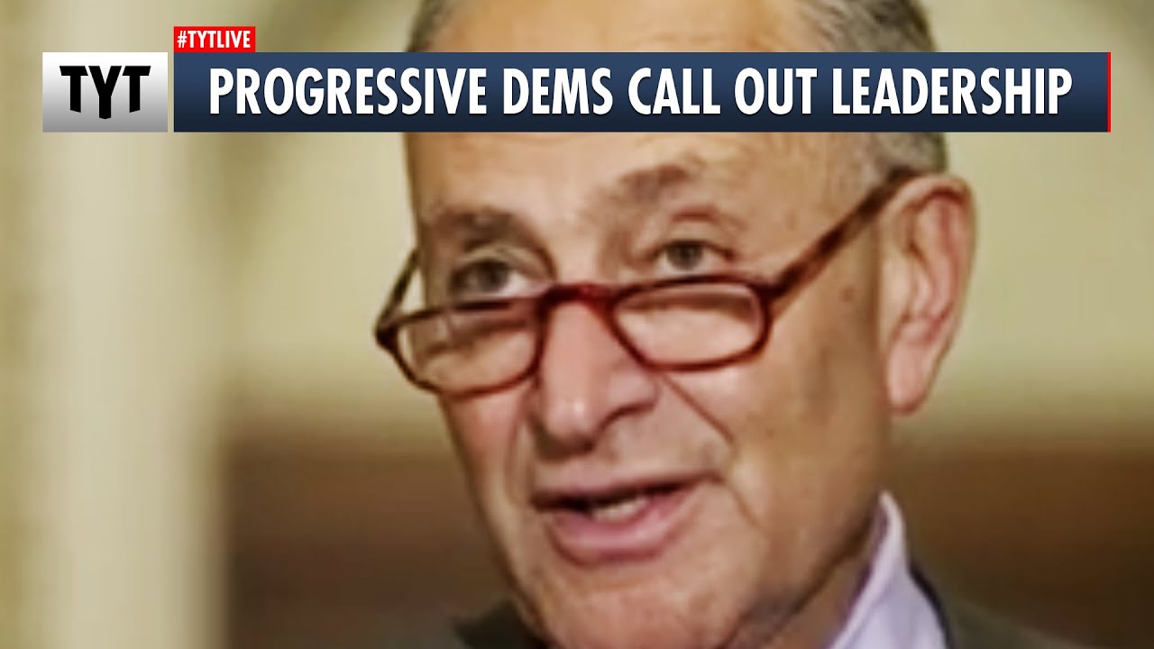 Senate Democrats Grill Chuck Schumer on Losses - YouTube