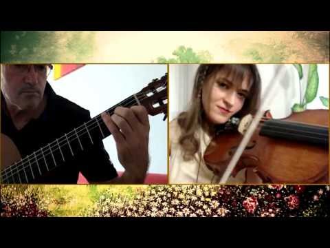 Braid; Downstream (Shira Kammen), violin & guitar cover by Seda BAYKARA & Wolfgang VRECUN