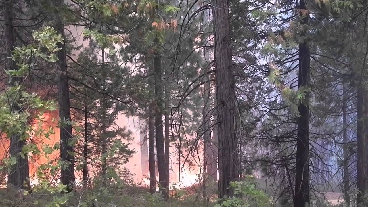 French Fire Sierra National Forest 2014 - YouTube