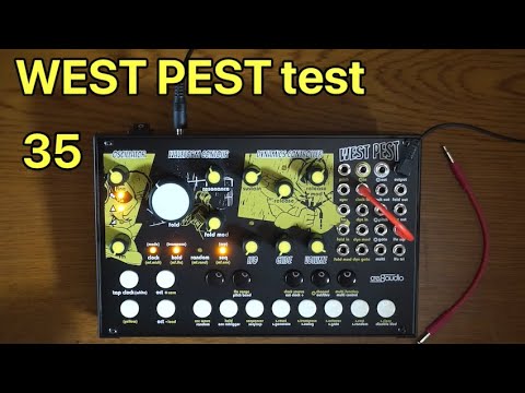 WEST PEST test35 - YouTube