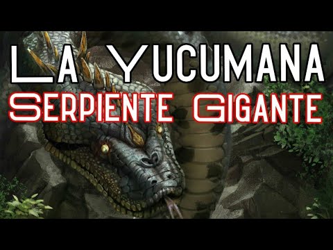 La Yacumana La Serpiente Gigante- Historia de Terror en el Amazonas ...