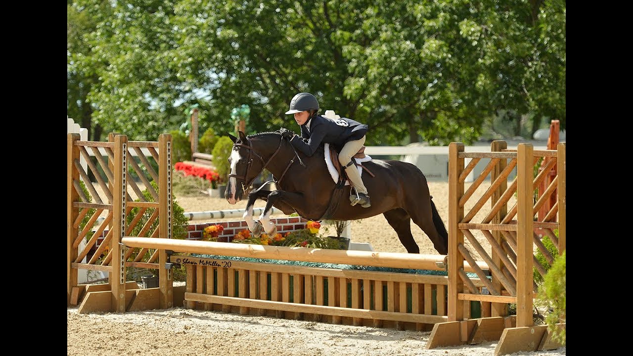 FrontPage Small Pony Hunter - YouTube