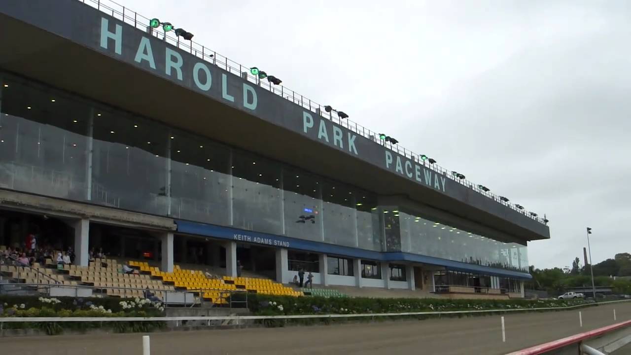 Harness Racing,Harold Park -10/12/2010 (Fire Alarm-2) - YouTube