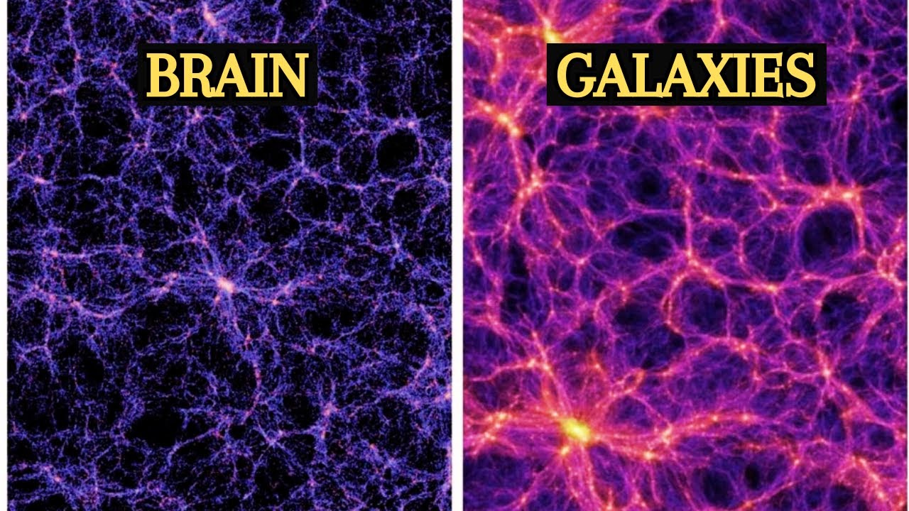 The universe is like a giant human brain, scientists find - YouTube