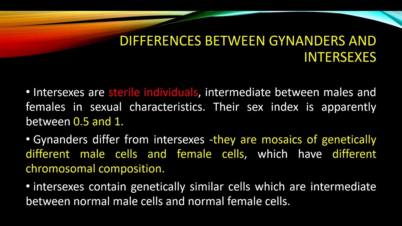 Types of gynandromorphism - YouTube