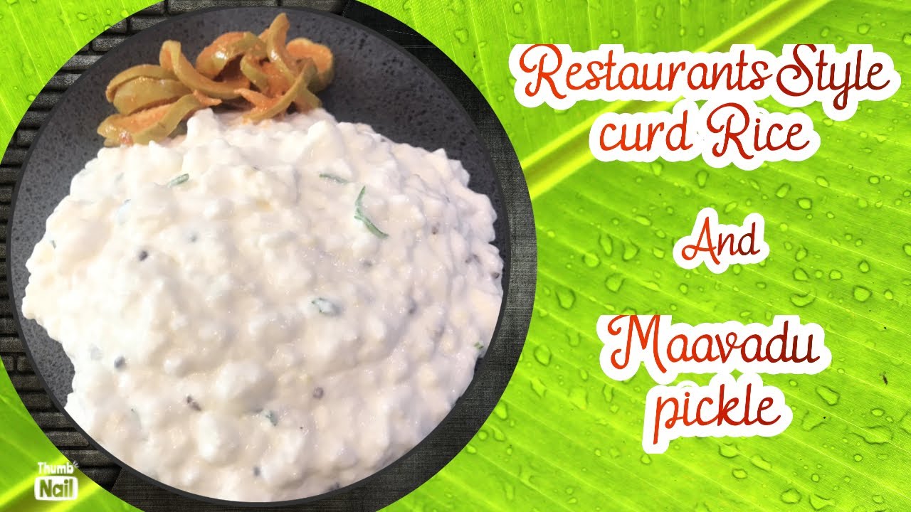 Bachelor style Thayir Satham/curd rice and Maavadu Pickle recipe - YouTube