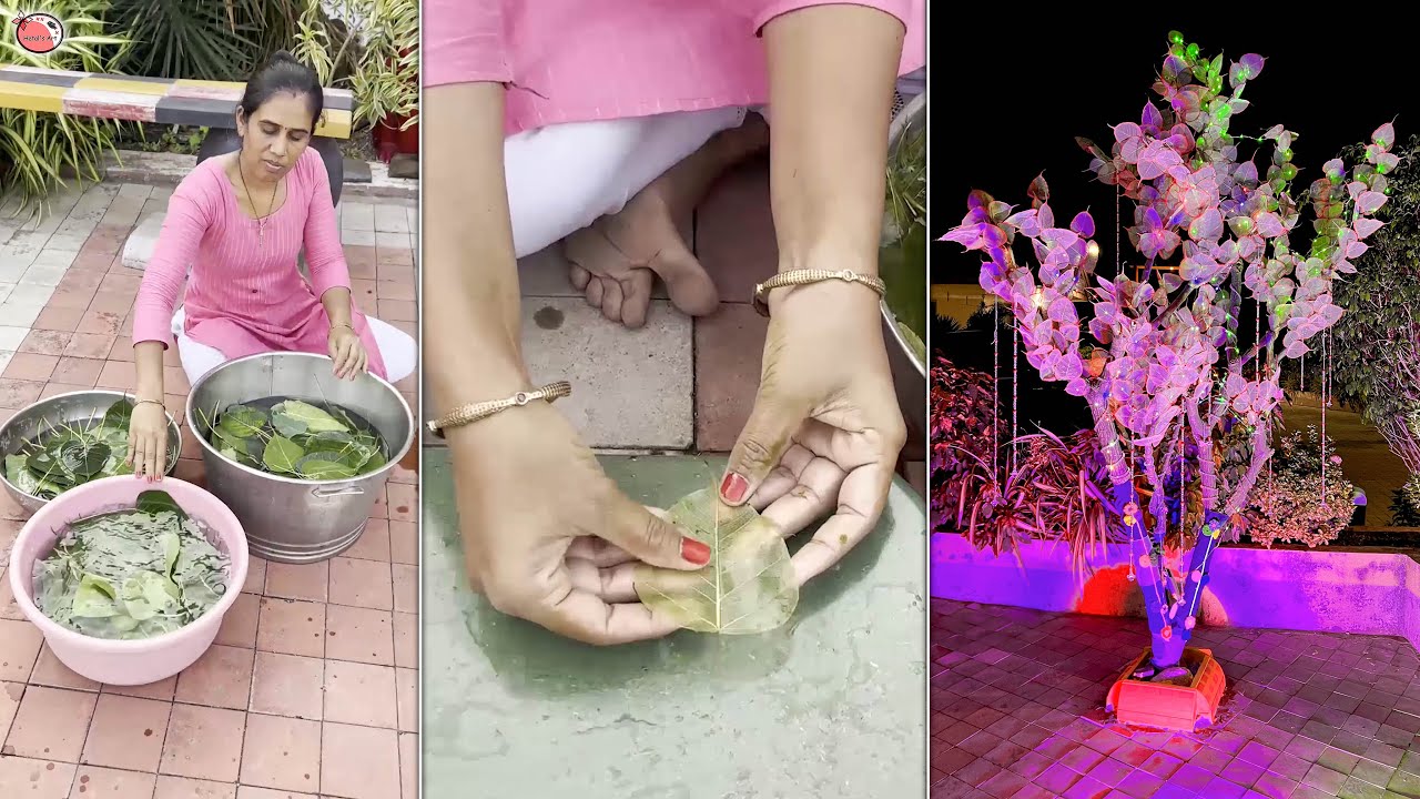 Normal leaf convert into transparent leaf process #lead #transparent - YouTube