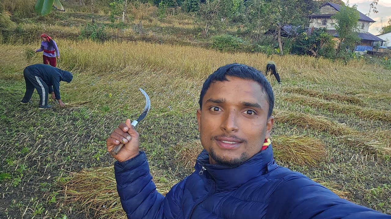 ghass katana 4 baje uthera aaudai oh my God kohi sakkxs 😀 - YouTube