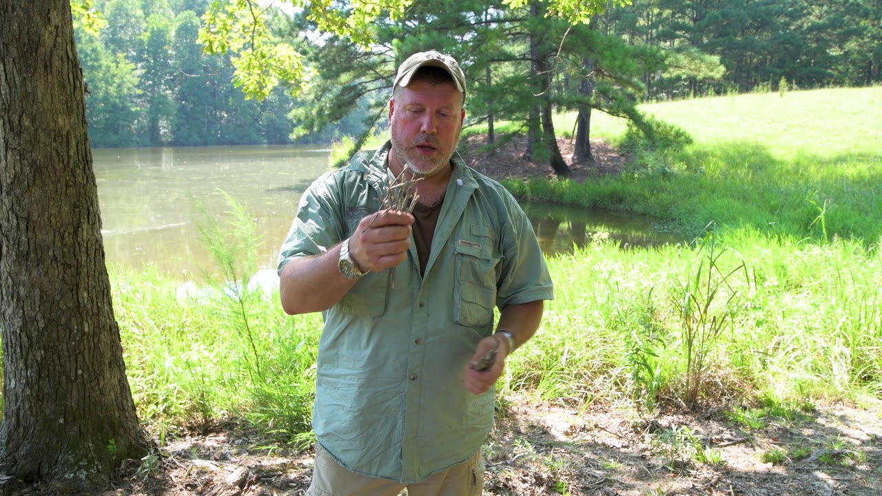 Basic Emergency Survival Fire Building Tips For Beginers - YouTube