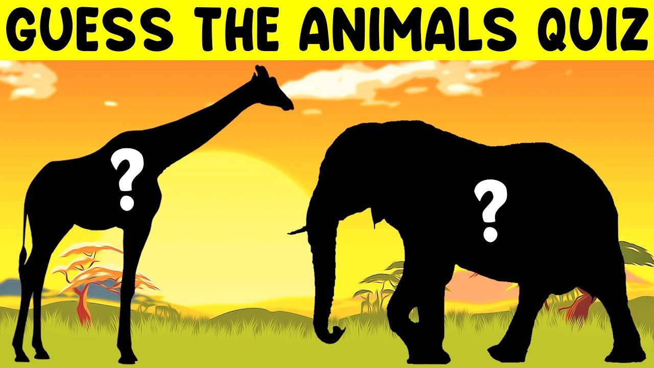 Kids Quiz : Guess the Animal from their Shadow | Brain Games | Learn ...